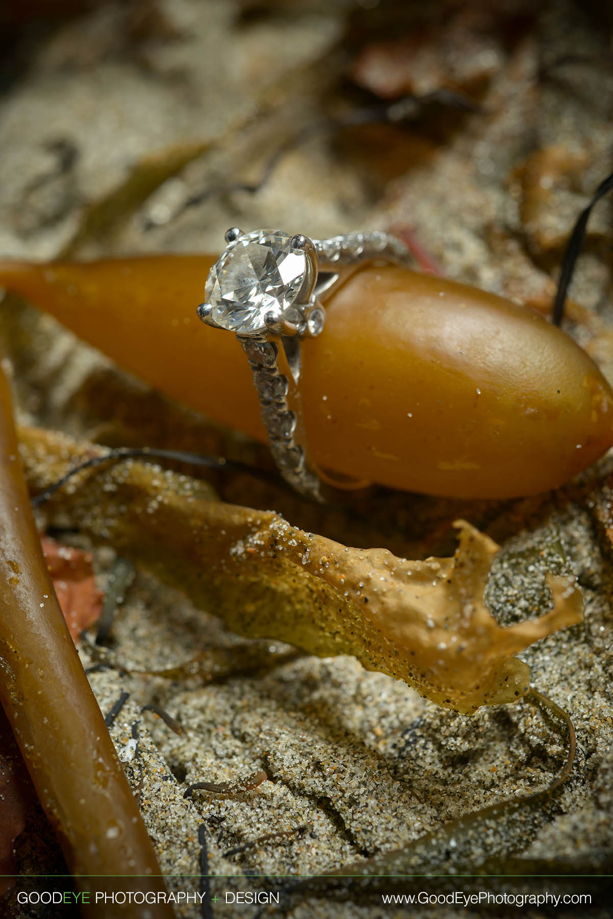 2013 Best Of: 70 Creative Wedding Ring Photos | GoodEye Photography ...