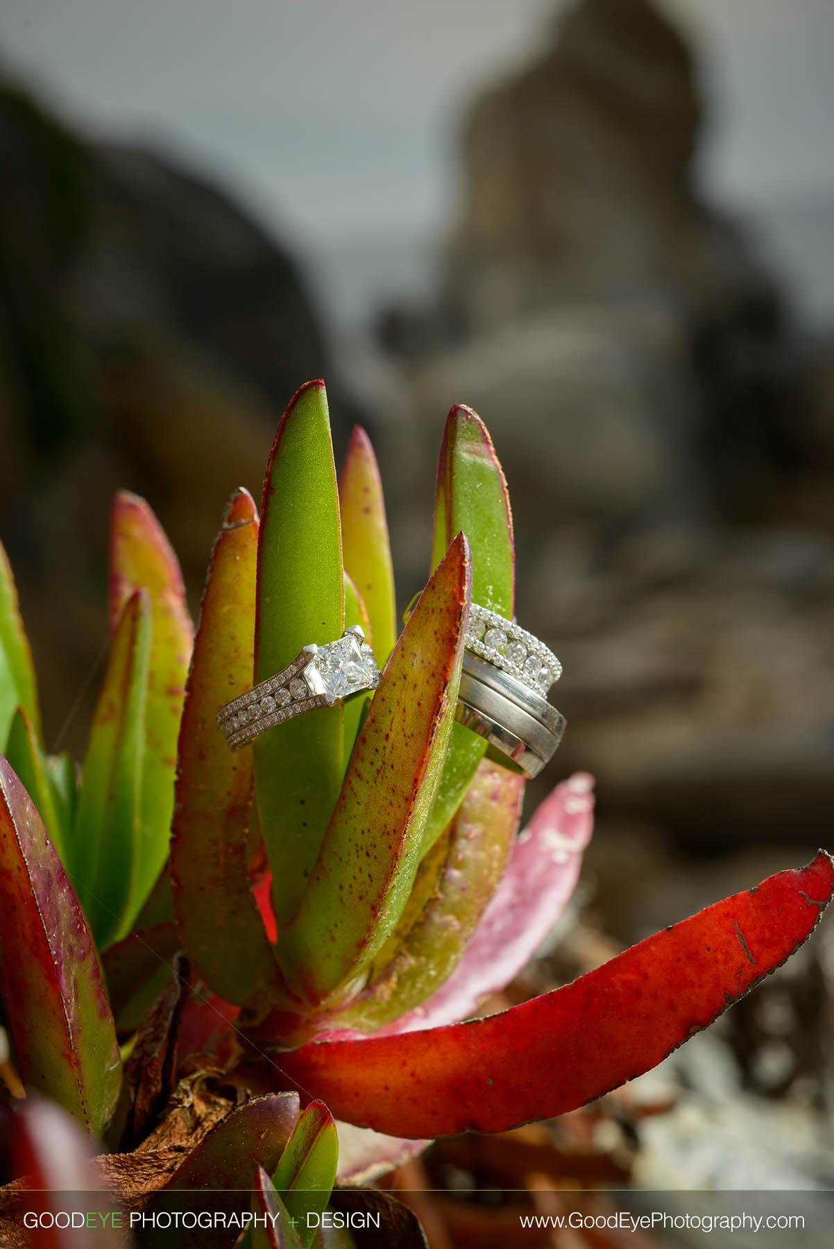 2013 Best Of: 70 Creative Wedding Ring Photos | GoodEye Photography ...
