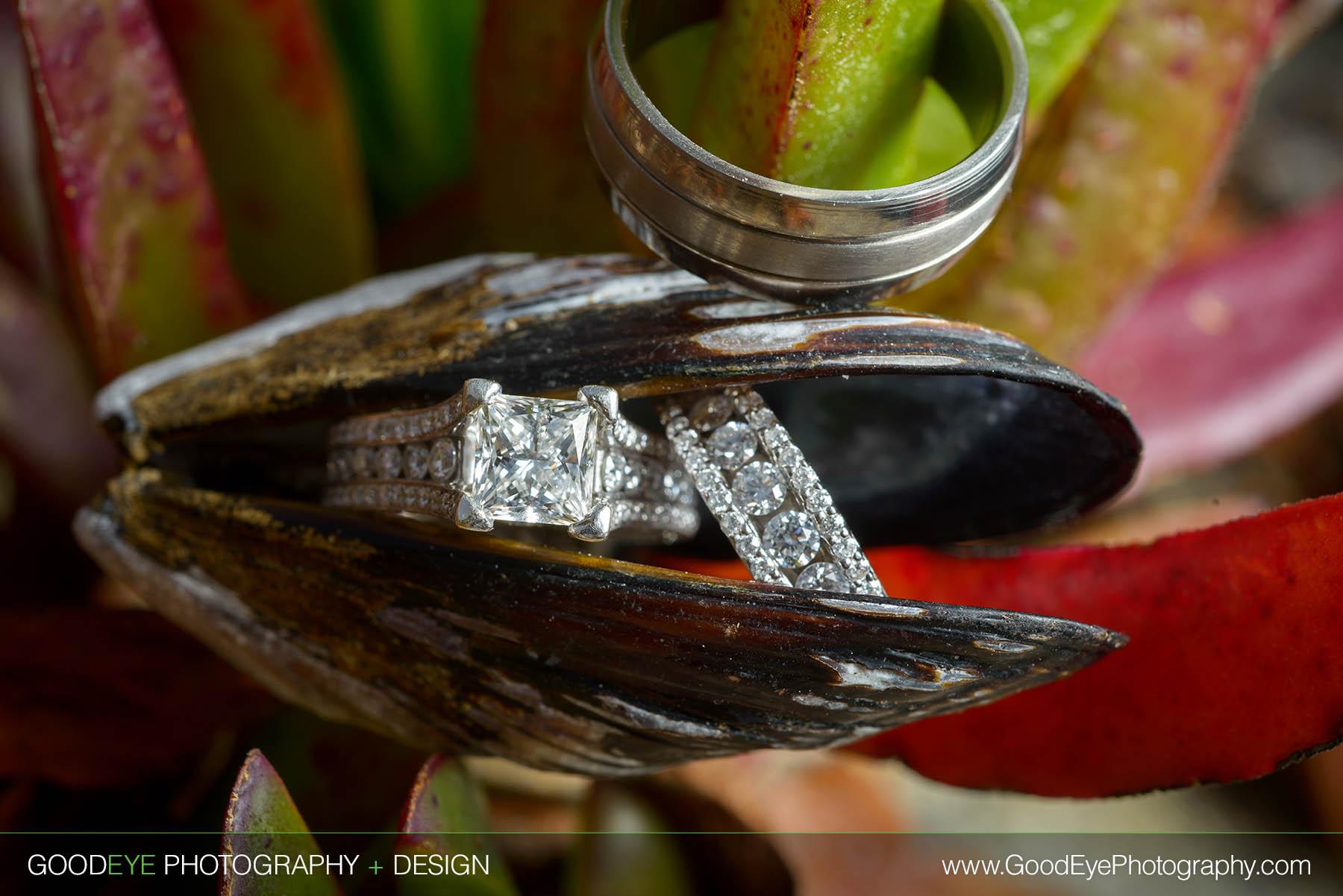 2013 Best Of: 70 Creative Wedding Ring Photos | GoodEye Photography ...